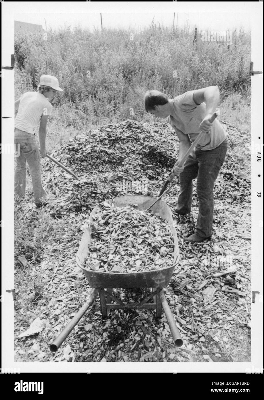 The Summer Youth Program offered employment and training opportunities ...