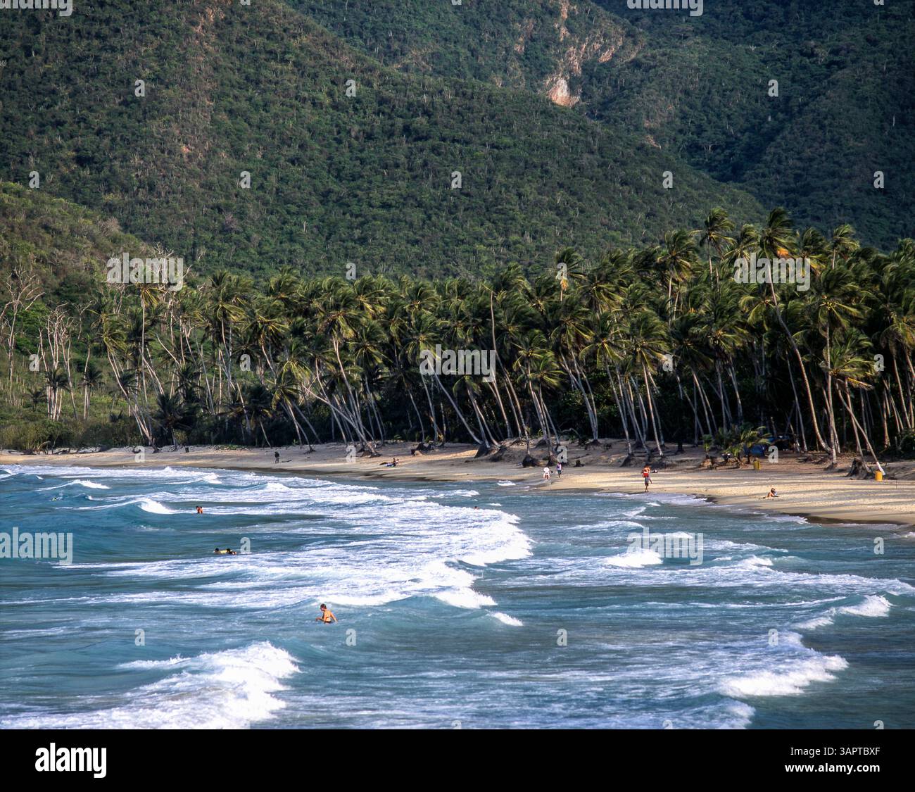 Aragua state venezuela hi-res stock photography and images - Alamy