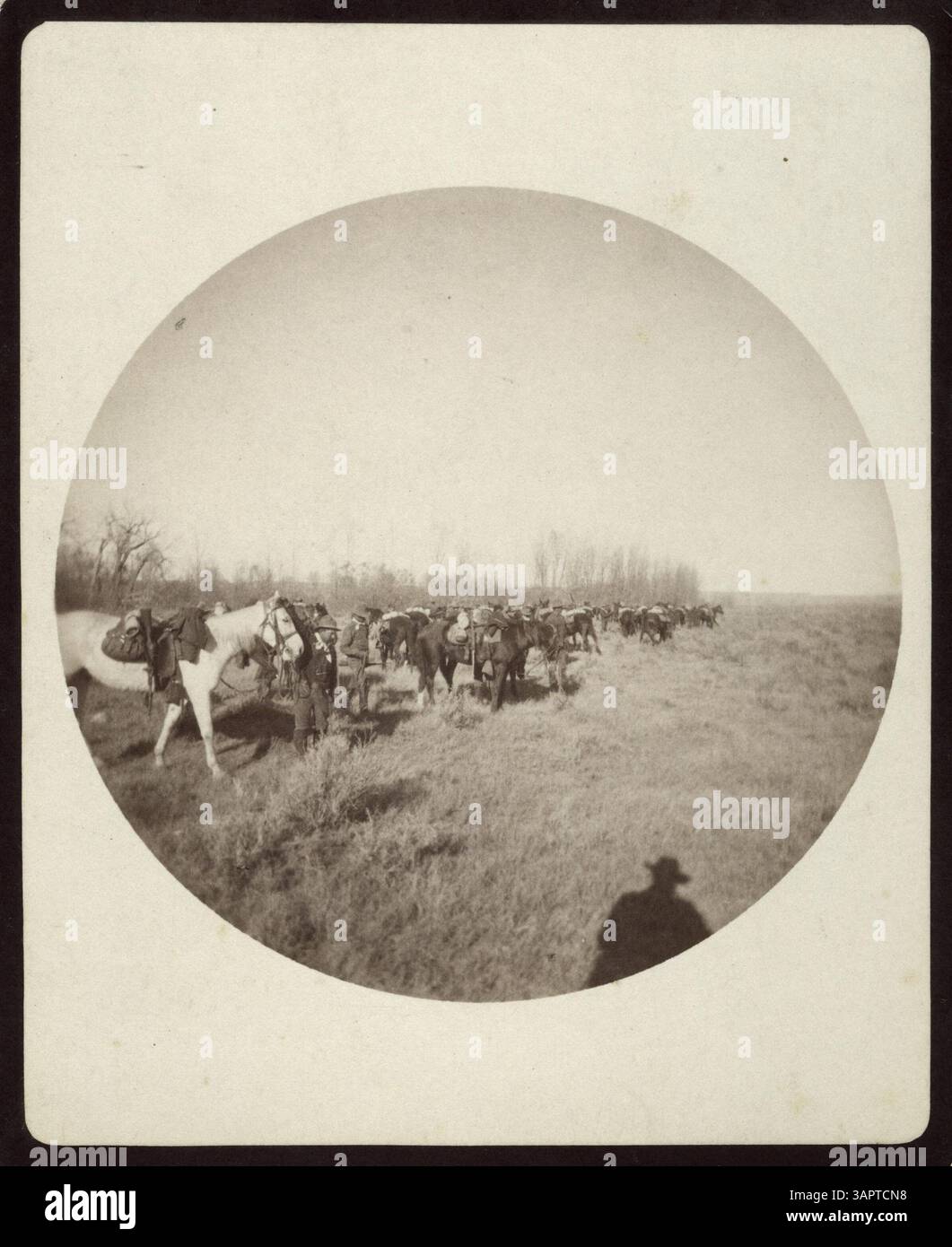 A photograph showing soldiers and horses, part of the Frazier Augustus ...