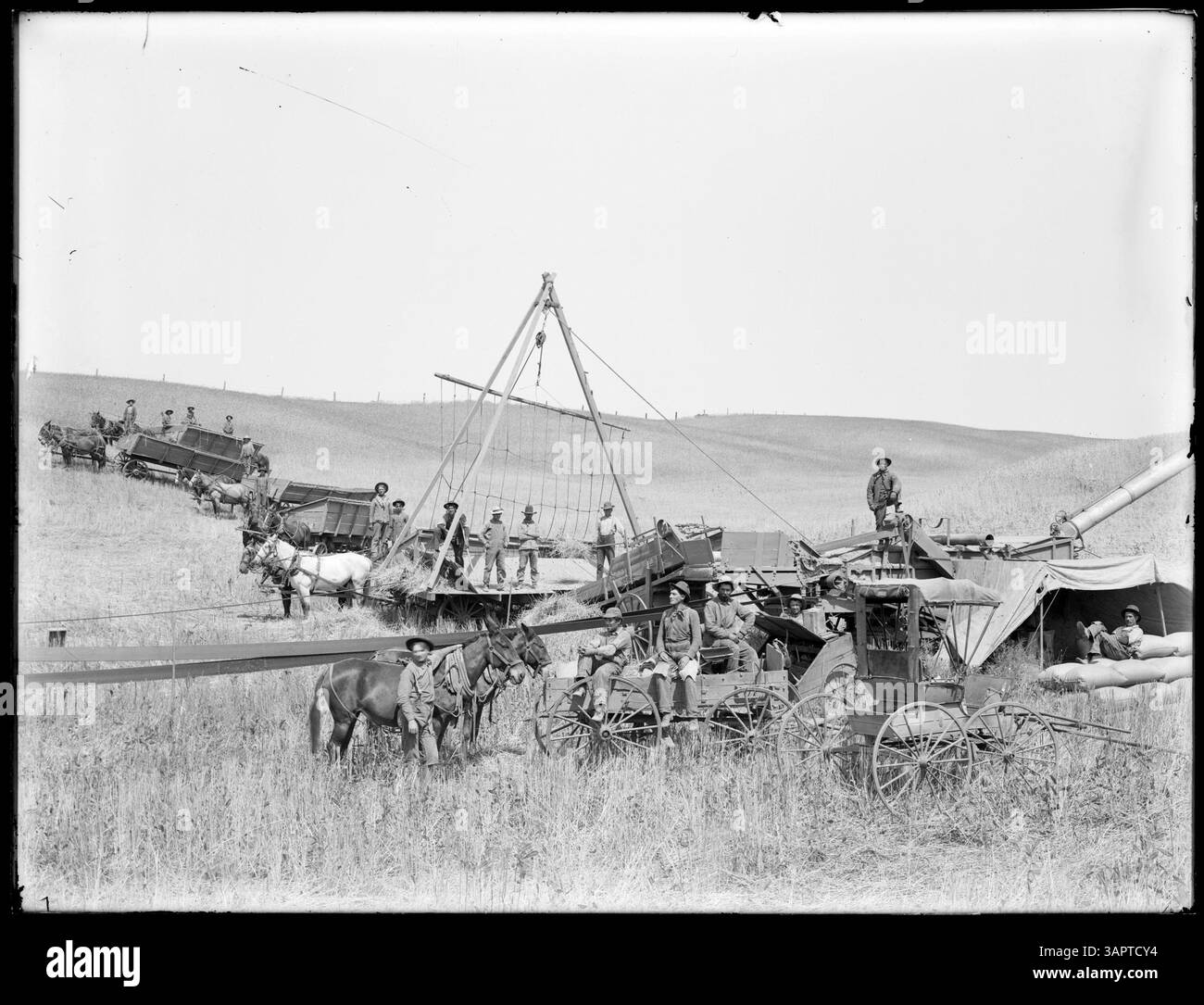 Lee Moorhouse's photograph shows a threshing crew working with a ...