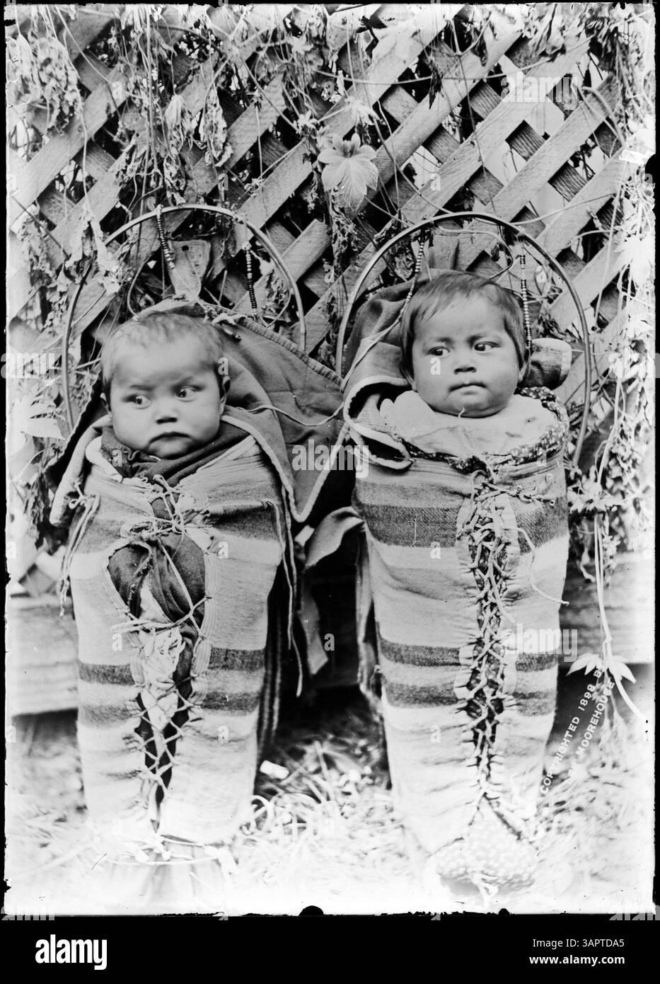 A photograph from the Lee Moorhouse collection showing two Cayuse twins ...