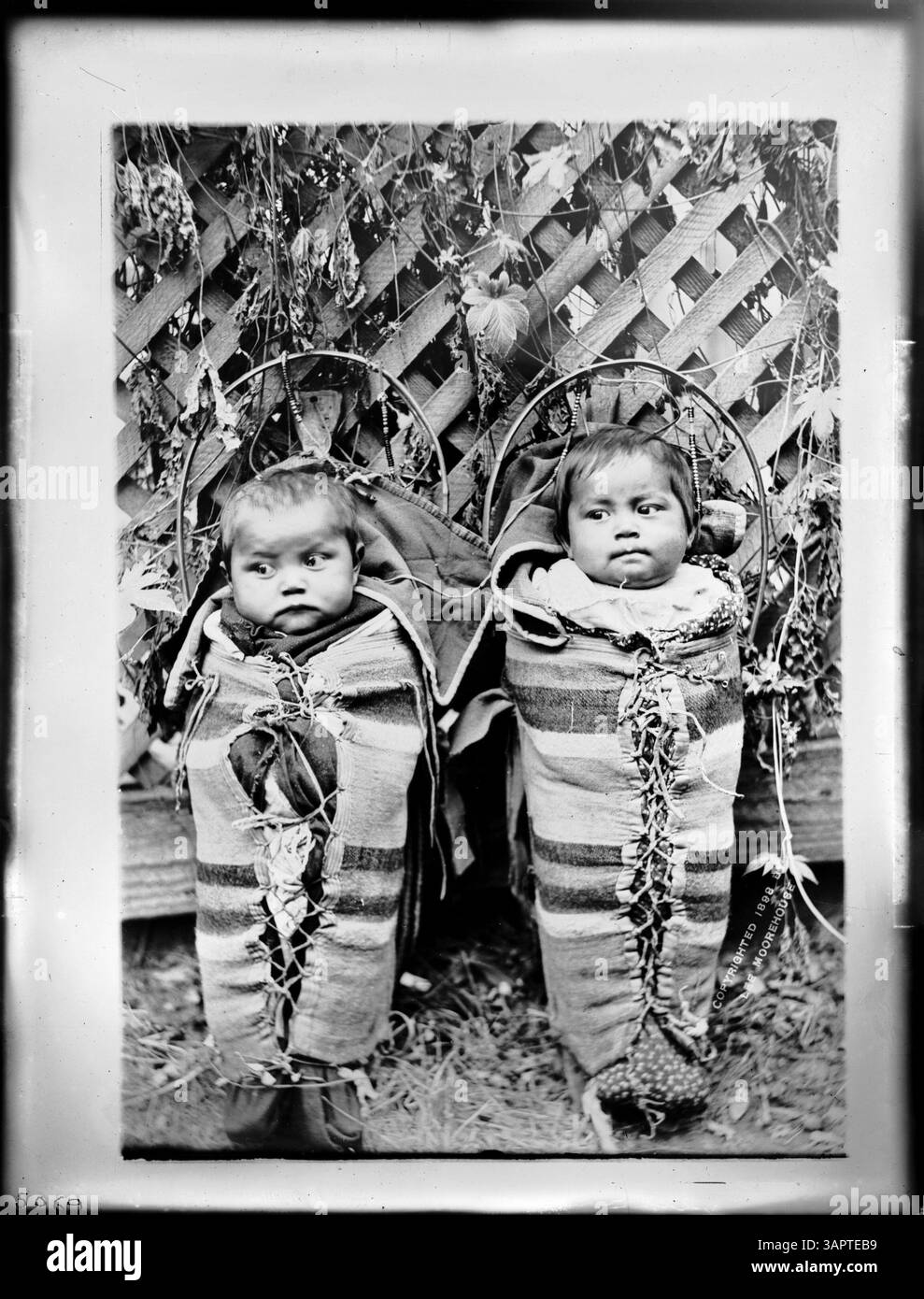 This photograph by Lee Moorhouse depicts the Cayuse twins in cradles ...