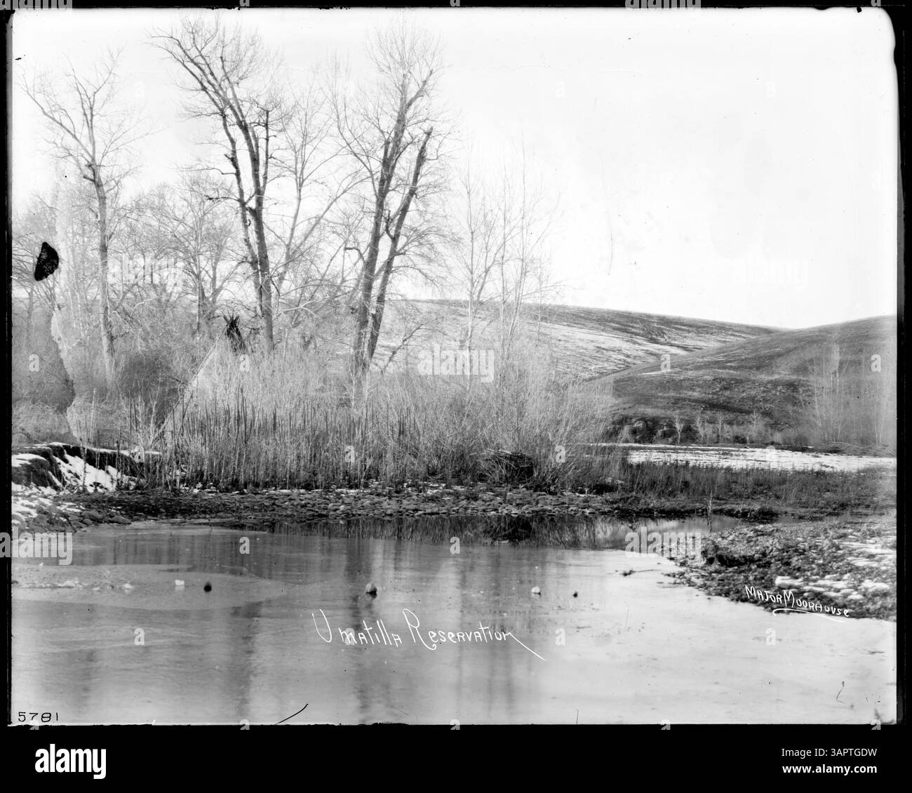 This photograph by Lee Moorhouse shows camps on the Umatilla Indian ...