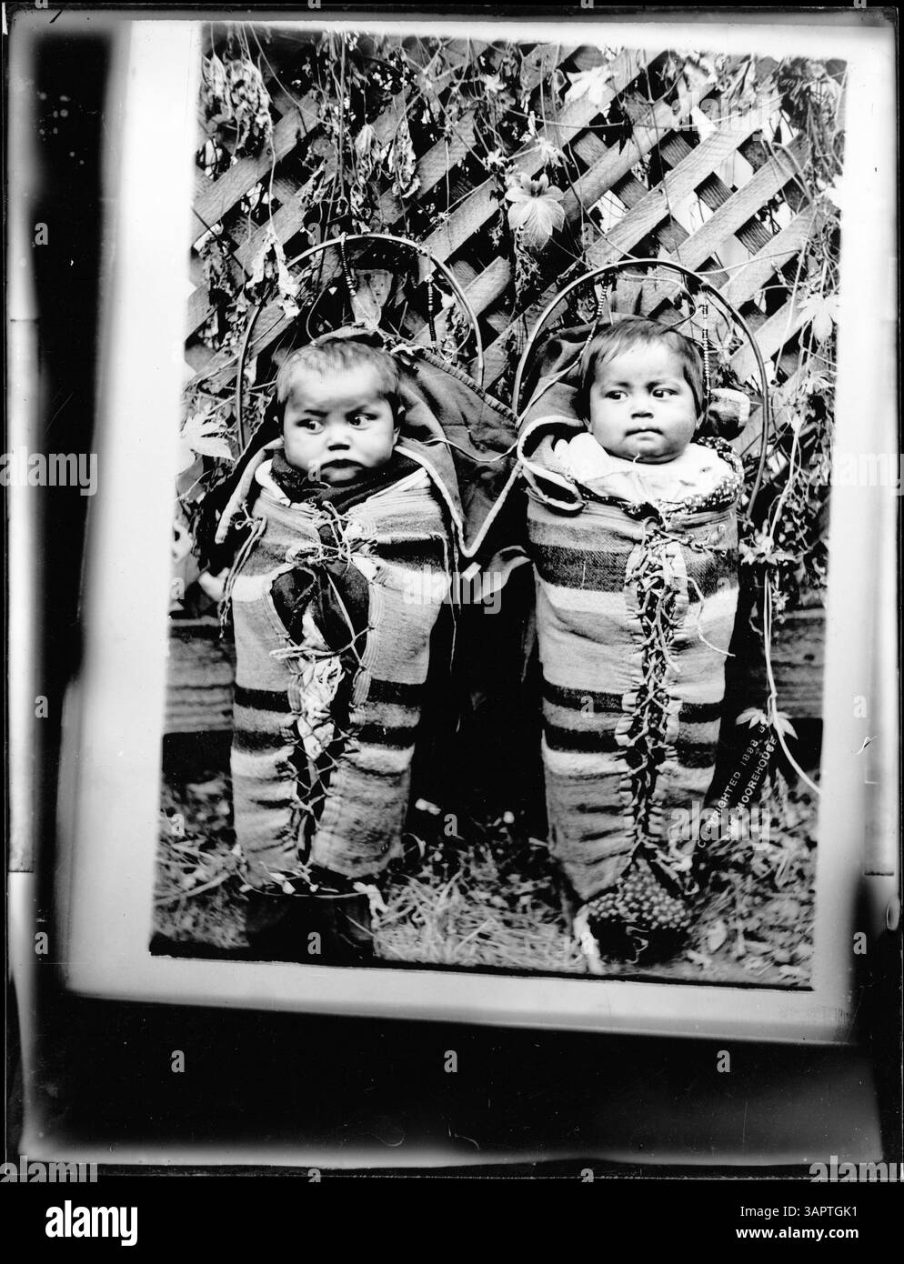 This photograph by Lee Moorhouse features Cayuse twins. It provides a ...