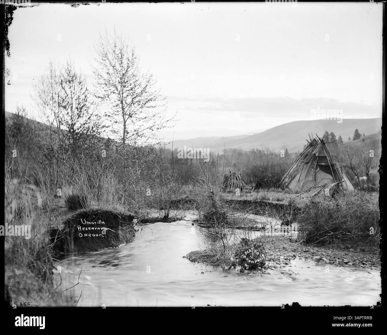 This photograph by Lee Moorhouse shows camps on the Umatilla Indian ...