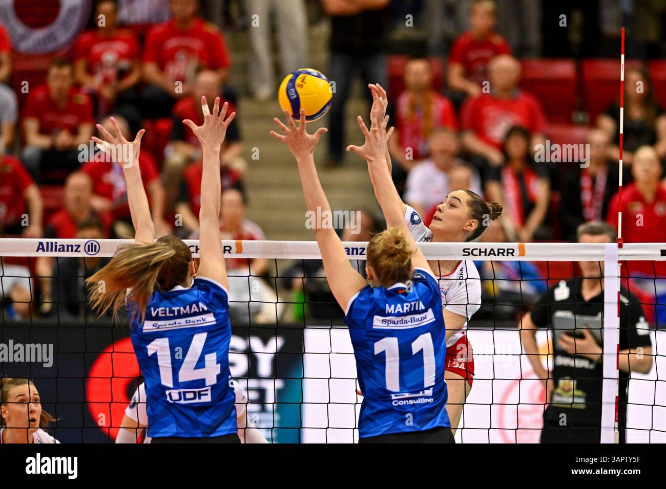 DVL, Volleyball, 1. Bundesliga, Damen, Saison 2024/25, Playoff ...