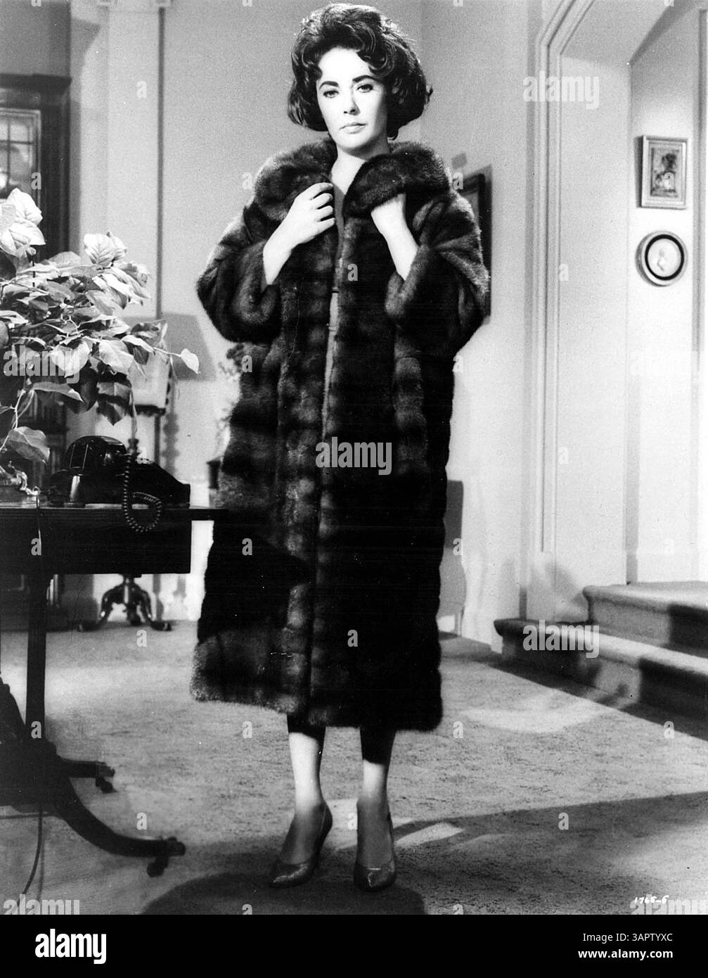 Elizabeth taylor butterfield hi-res stock photography and images - Alamy