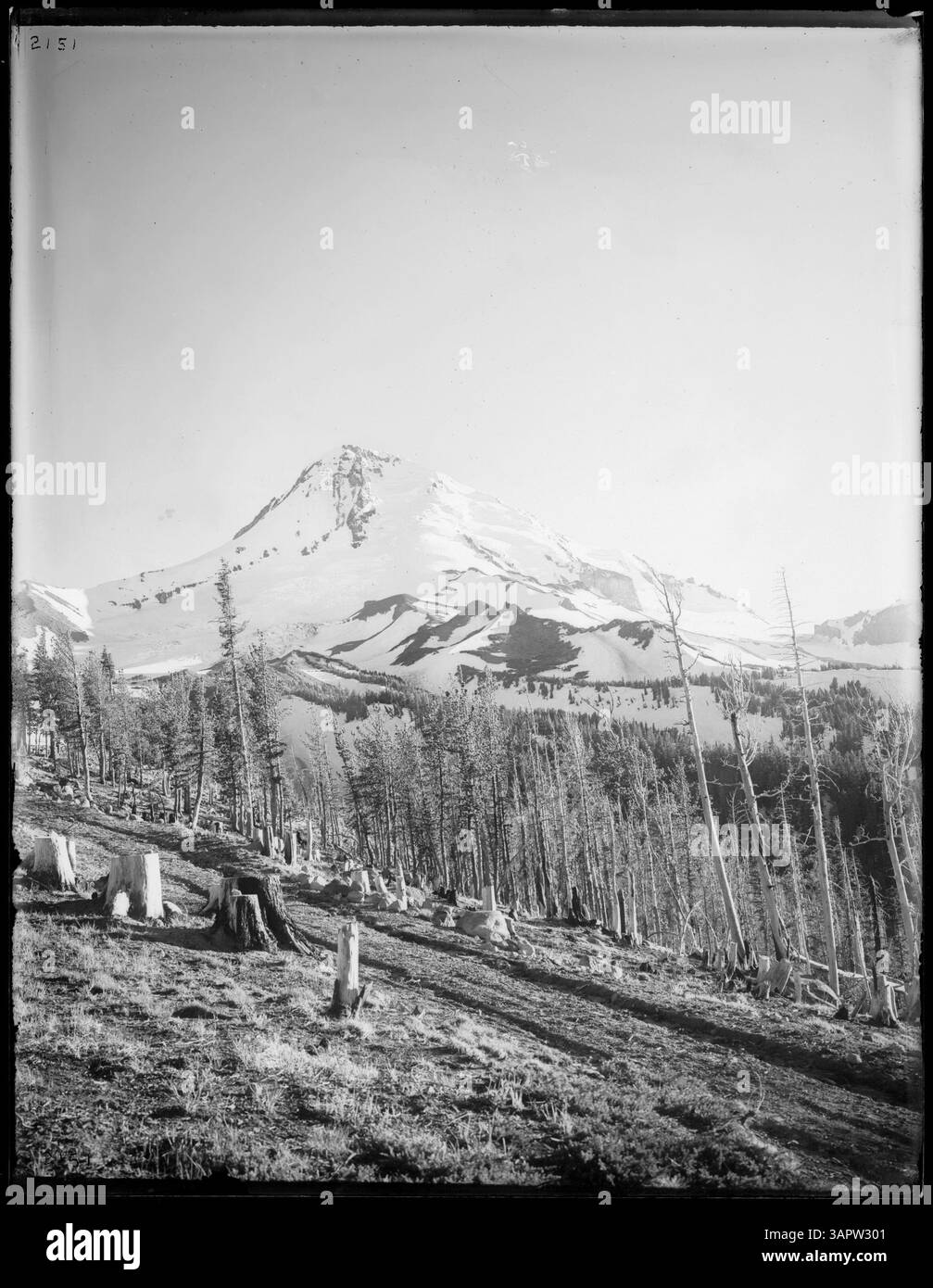 This photograph shows Mount Hood, capturing the majestic landscape and ...