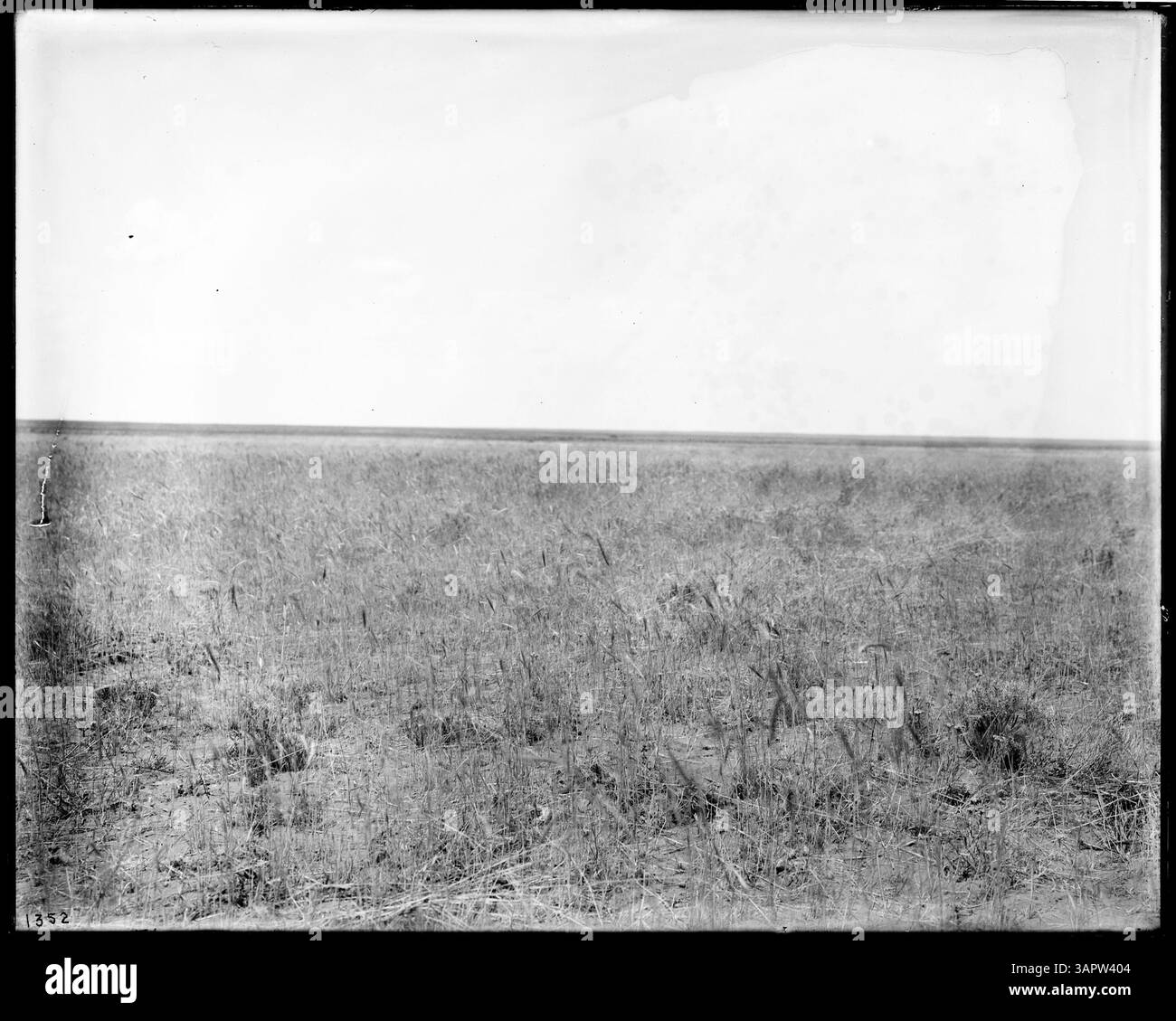 This photograph captures fields irrigated by the Hinkle irrigation ...