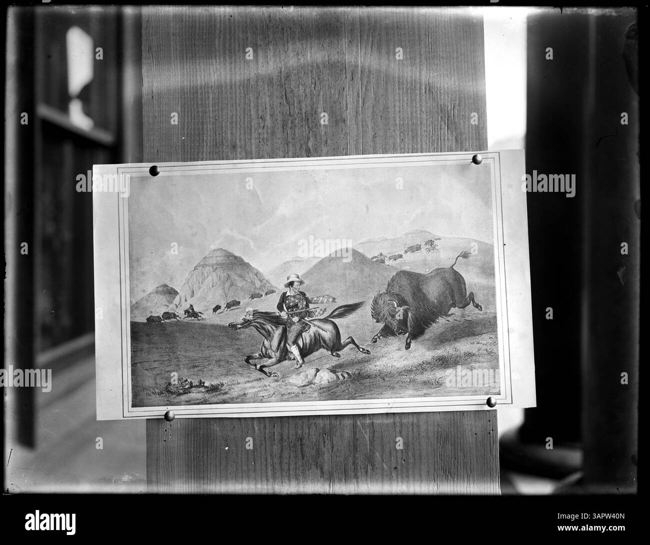 This copy negative shows a man on horseback alongside a bison, offering ...