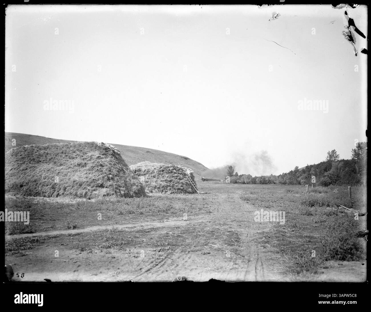 This Lee Moorhouse photograph shows haystacks on Hailey's ranch ...