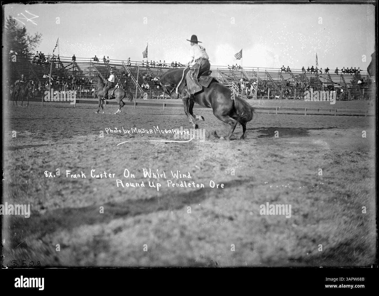 A photograph showing Frank Carter riding the bucking horse Whirlwind ...