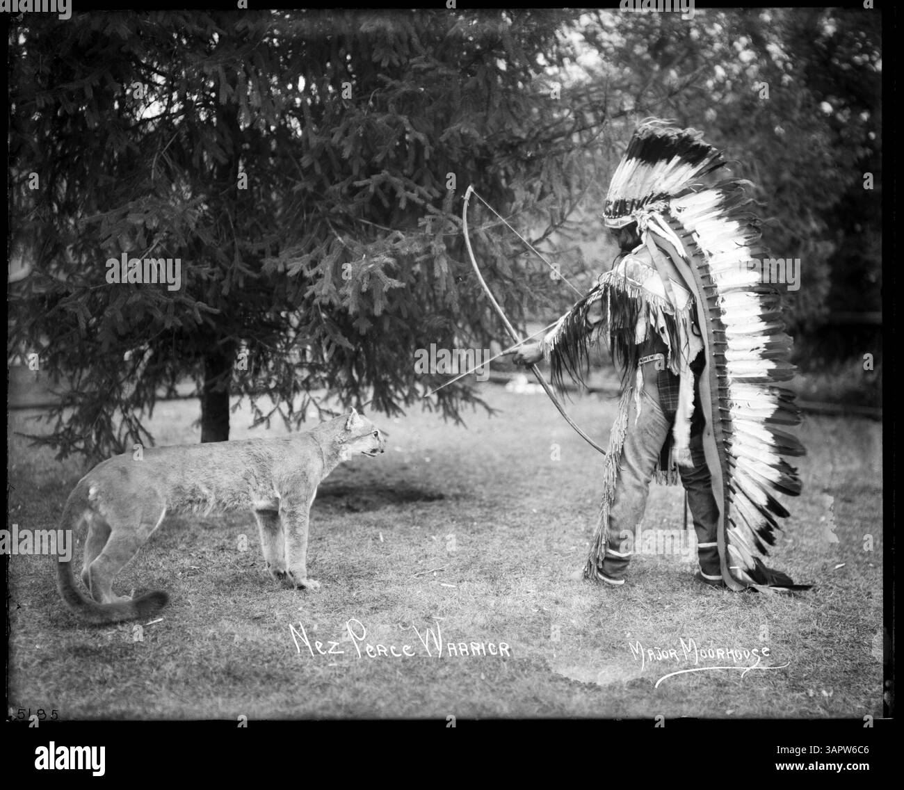 Photograph of a Nez Perce Indian in war bonnet, armed with weapons ...
