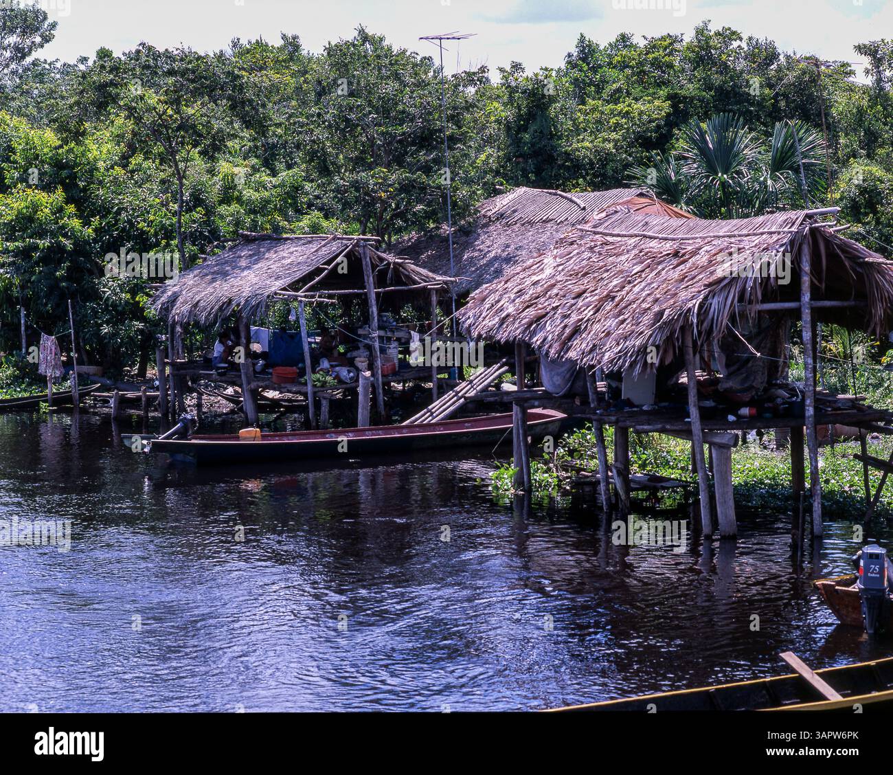 Common experience of indigenous peoples hi-res stock photography and ...