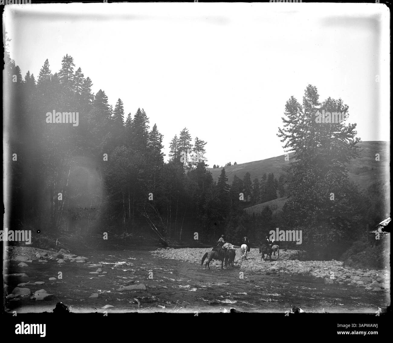 This image shows a pack train crossing a creek near Cowboy Thompson's ...