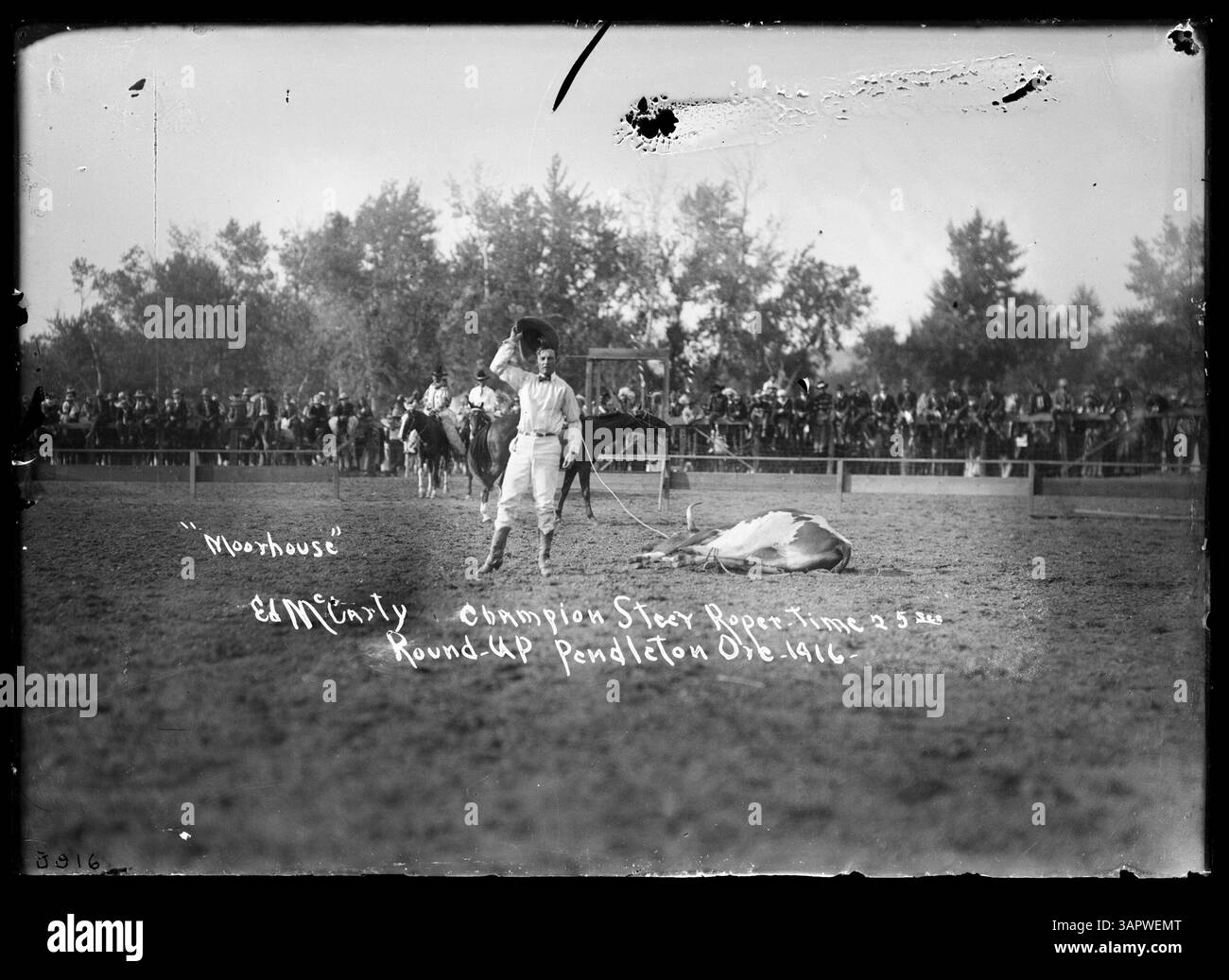 Photograph of Ed McCarty performing steer roping Stock Photo - Alamy