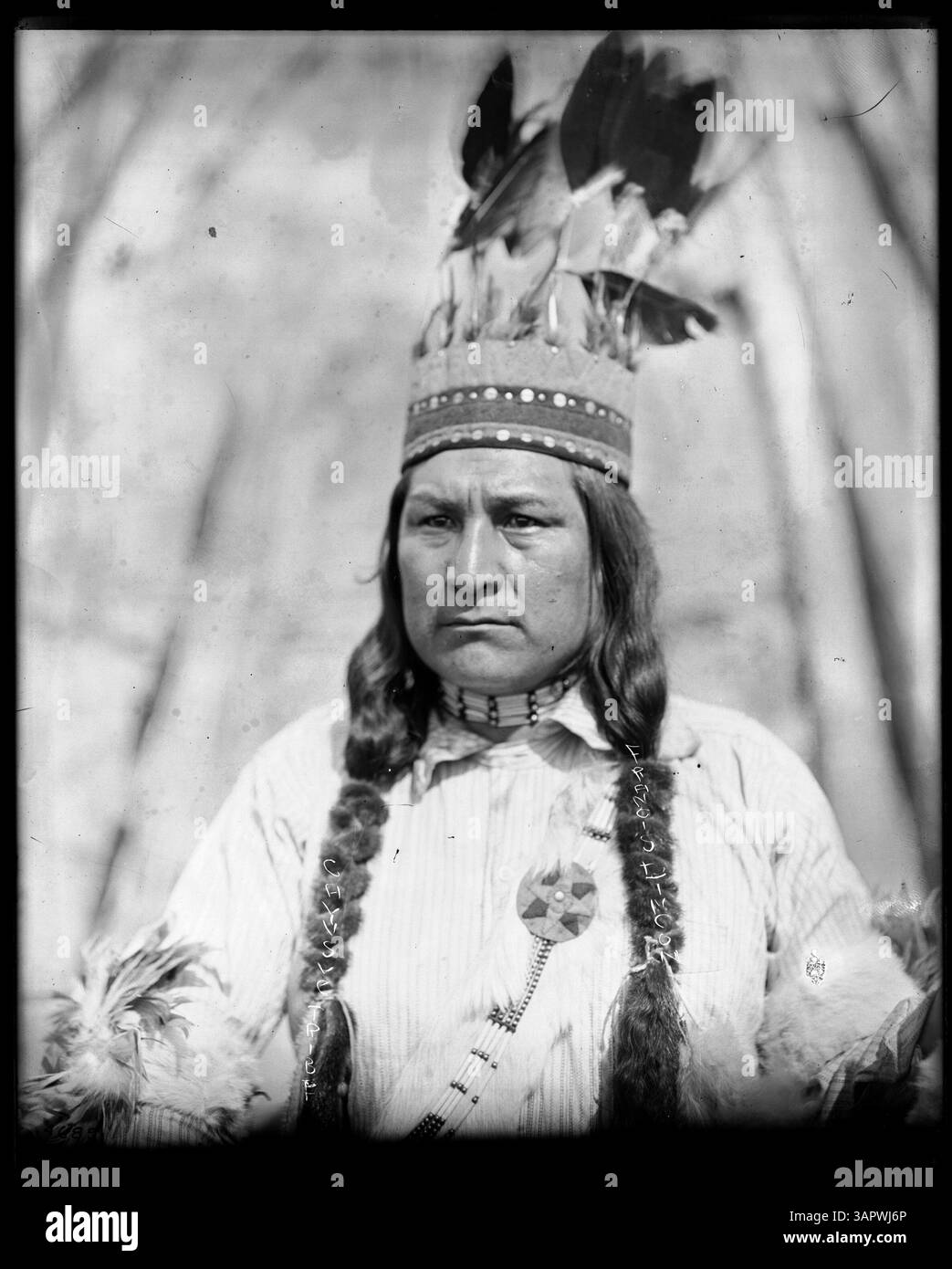 Photograph of Francis Lincoln, a Cayuse tribal man, dressed in regalia ...