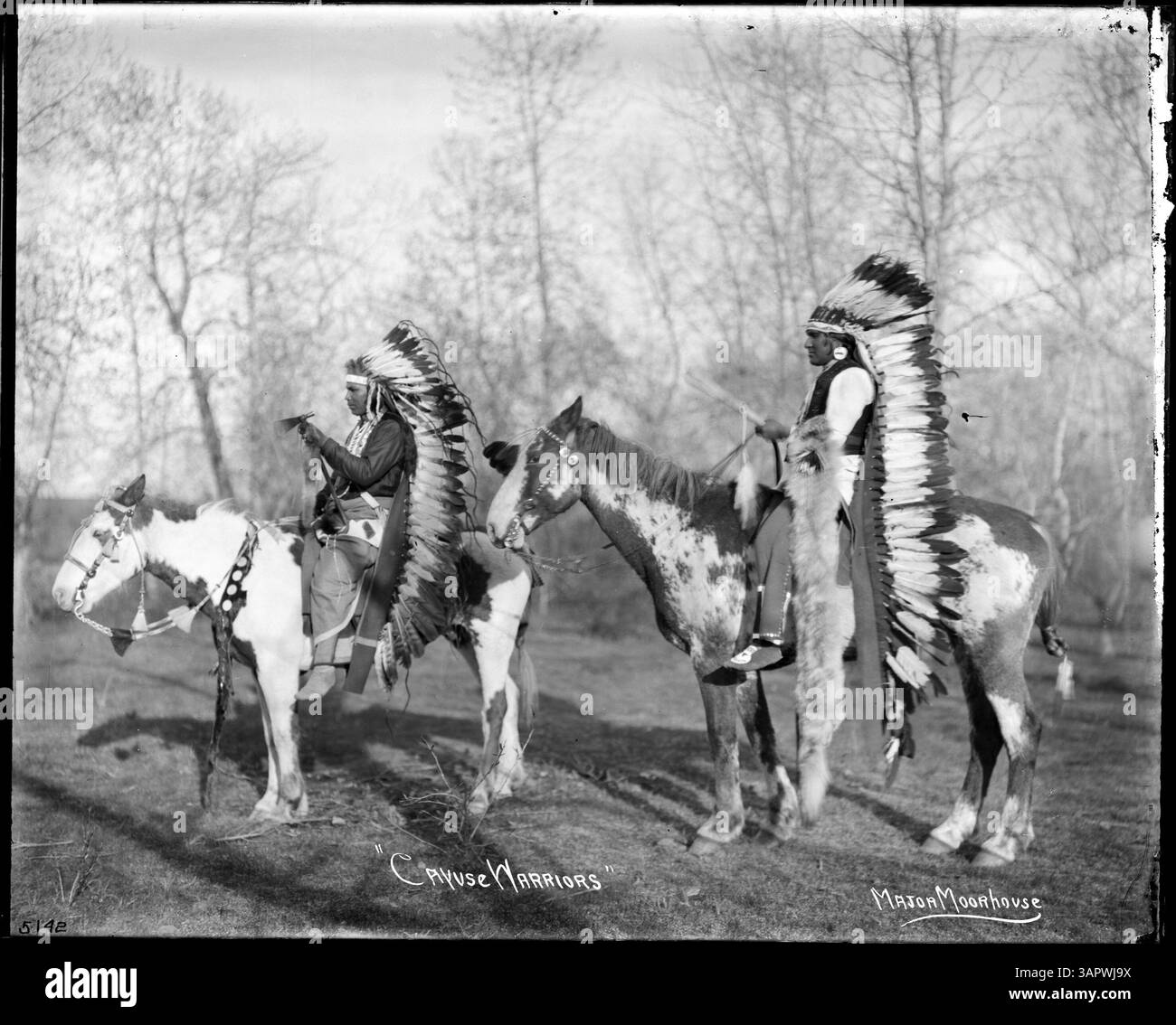 The photograph, 'PH036 5142,' depicts Cayuse Indians dressed in 'war ...