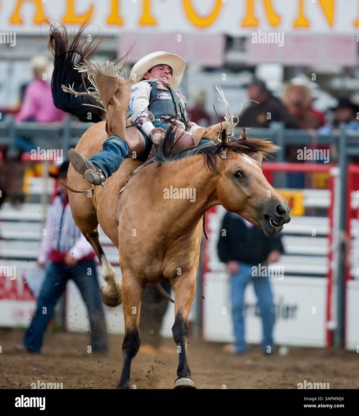 July 21, 2011: Bareback rider Ryan Gray scores a 74 riding Assault ...