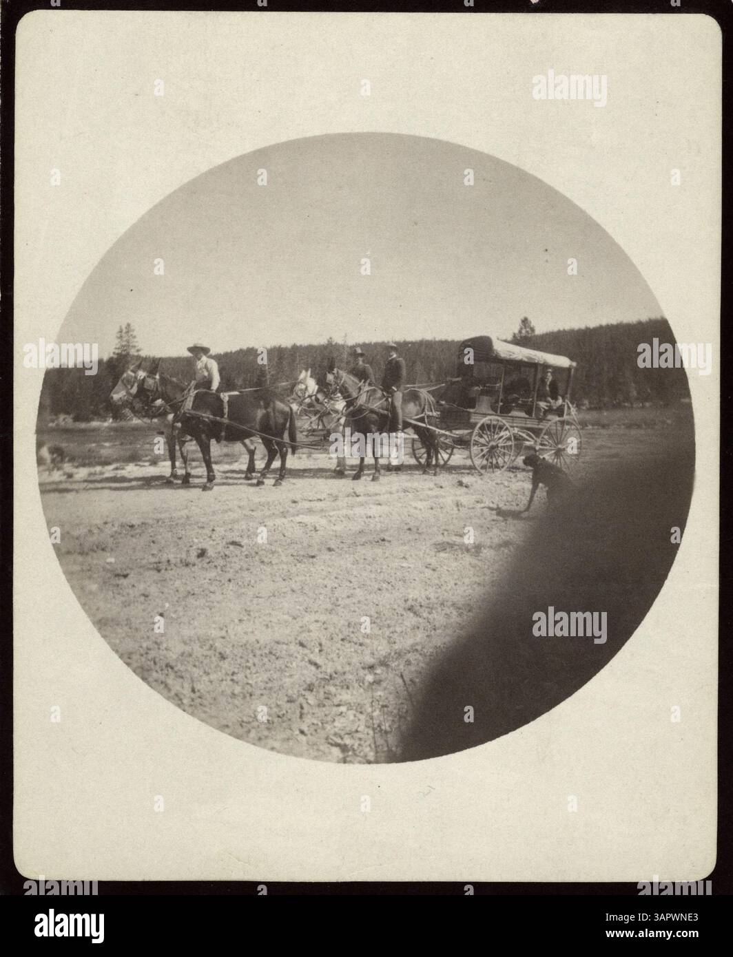 Photograph of people, mules, and a wagon, likely taken in a rural or ...