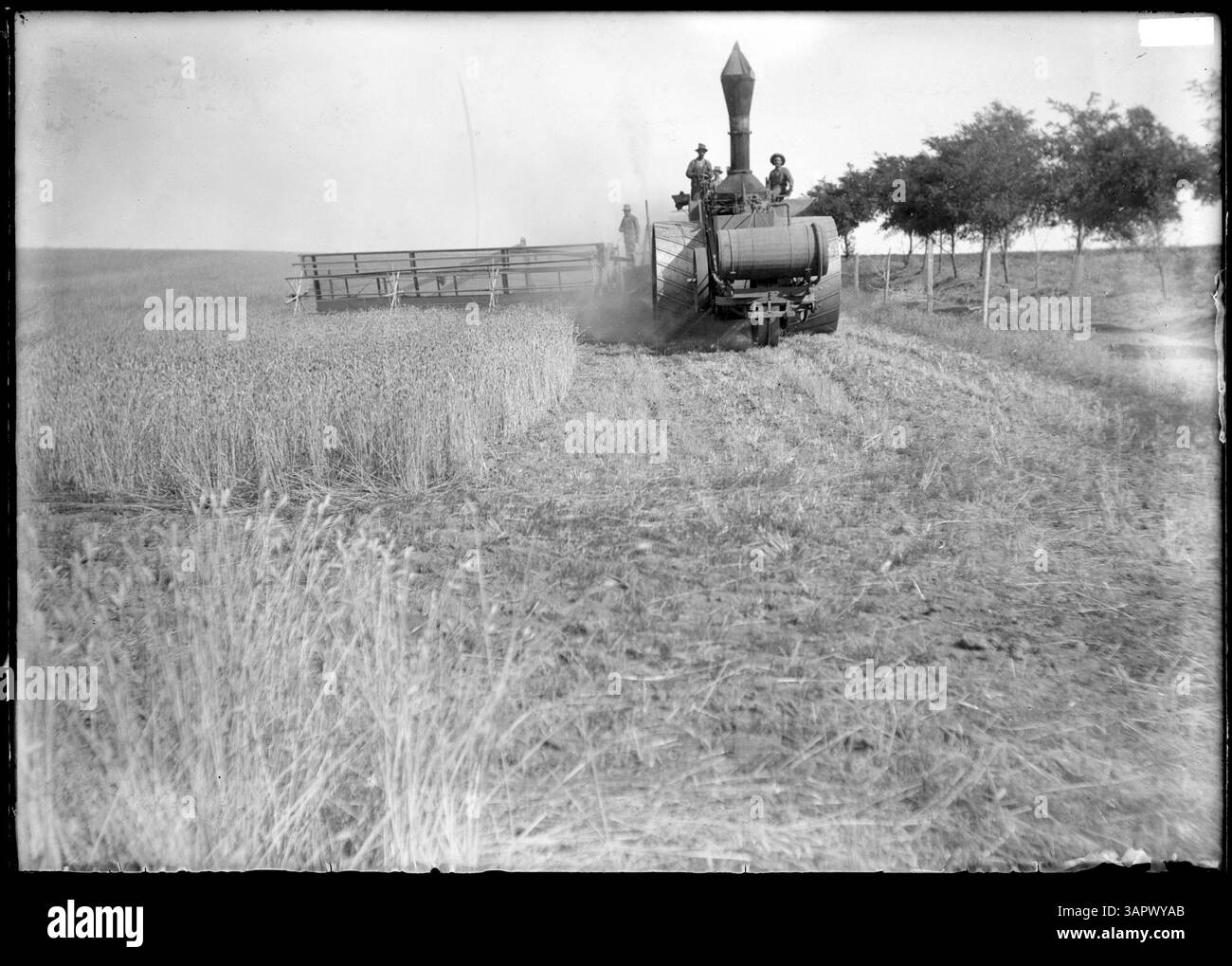 This Lee Moorhouse photograph depicts a steam tractor pulling a combine ...