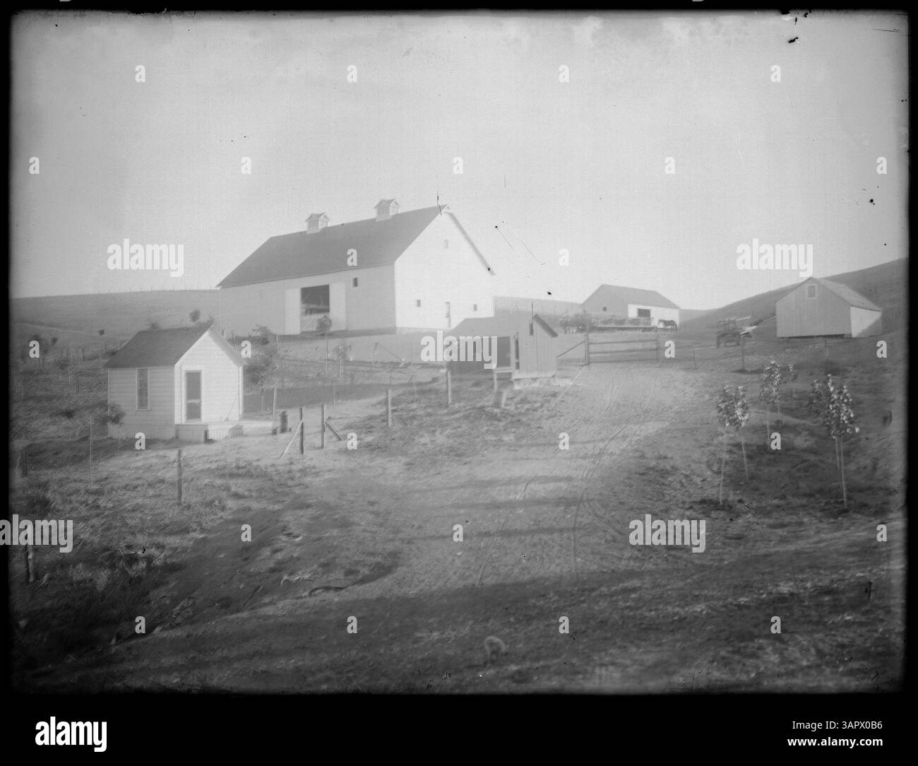 Photograph of Dave Nelson's ranch house and barns, taken by Lee ...
