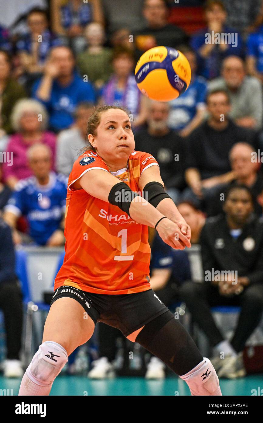 DVL, Volleyball, 1. Bundesliga, Damen, Saison 2024/25, Playoff ...