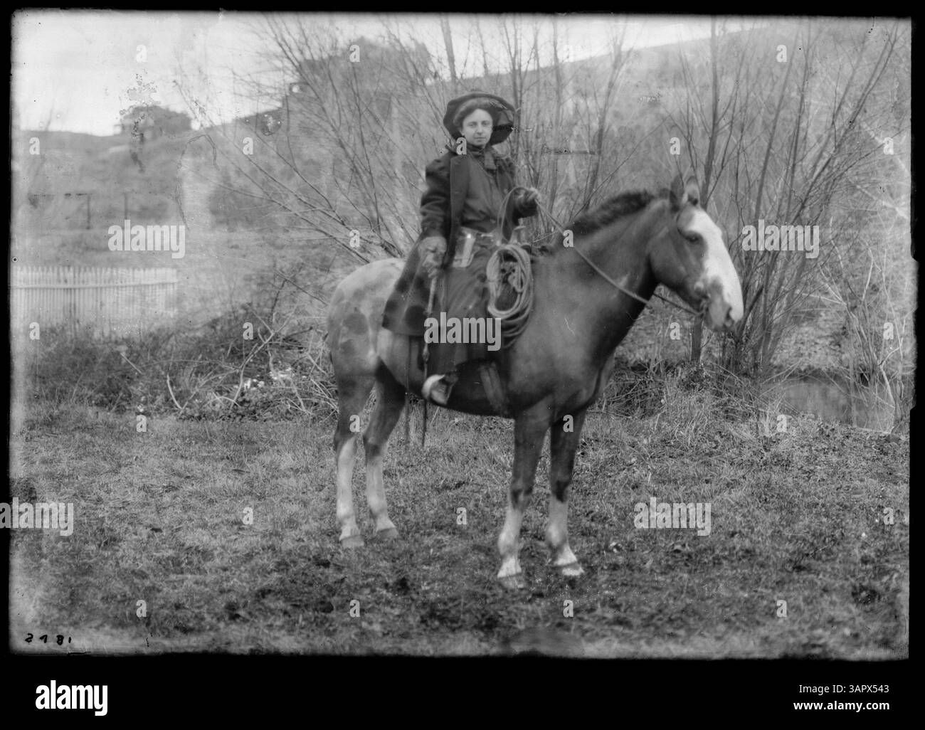 Lee Moorhouse captured Alberta Claire with a horse and dog ...