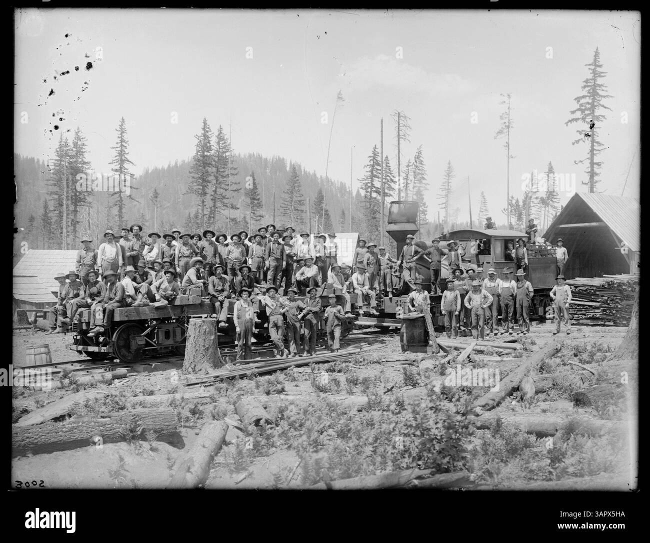 This Lee Moorhouse photograph shows a logging crew on a flatcar and ...