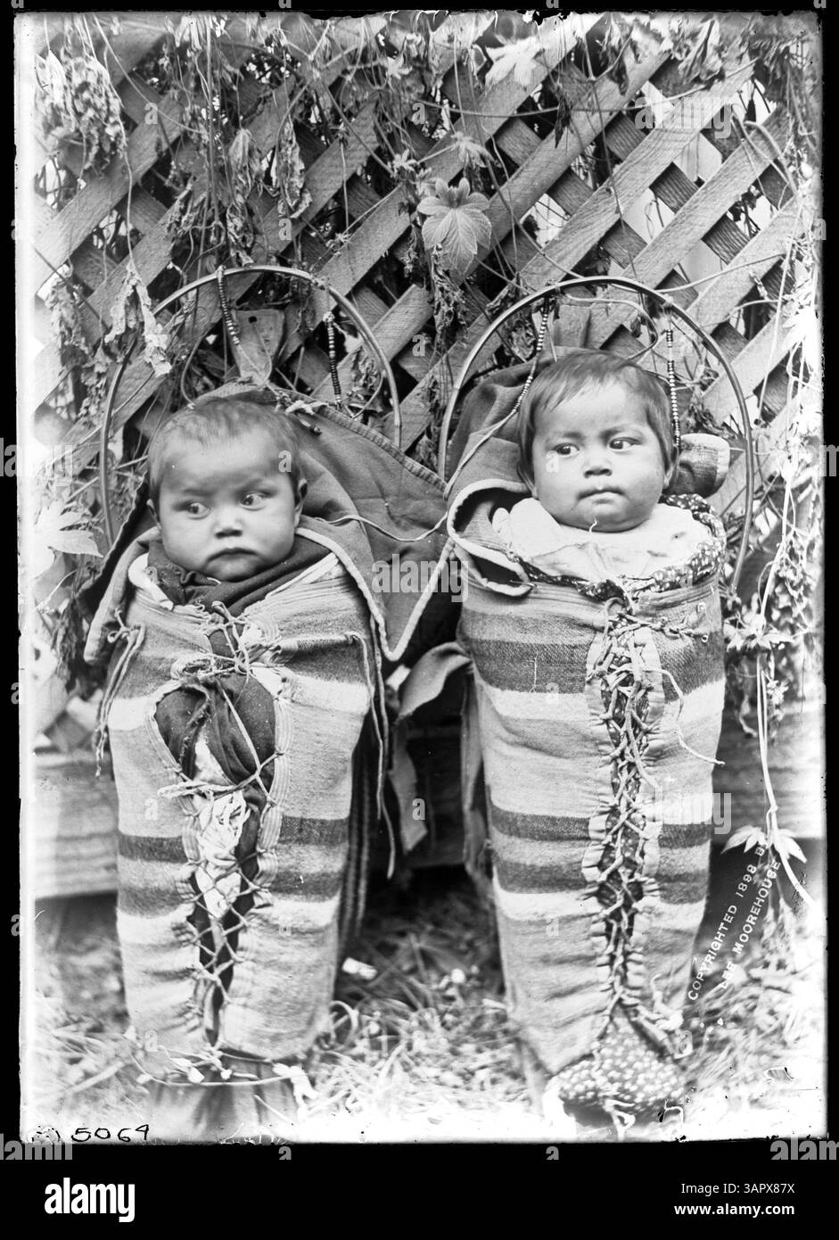 This photograph by Lee Moorhouse shows the Cayuse Twins in cradles ...