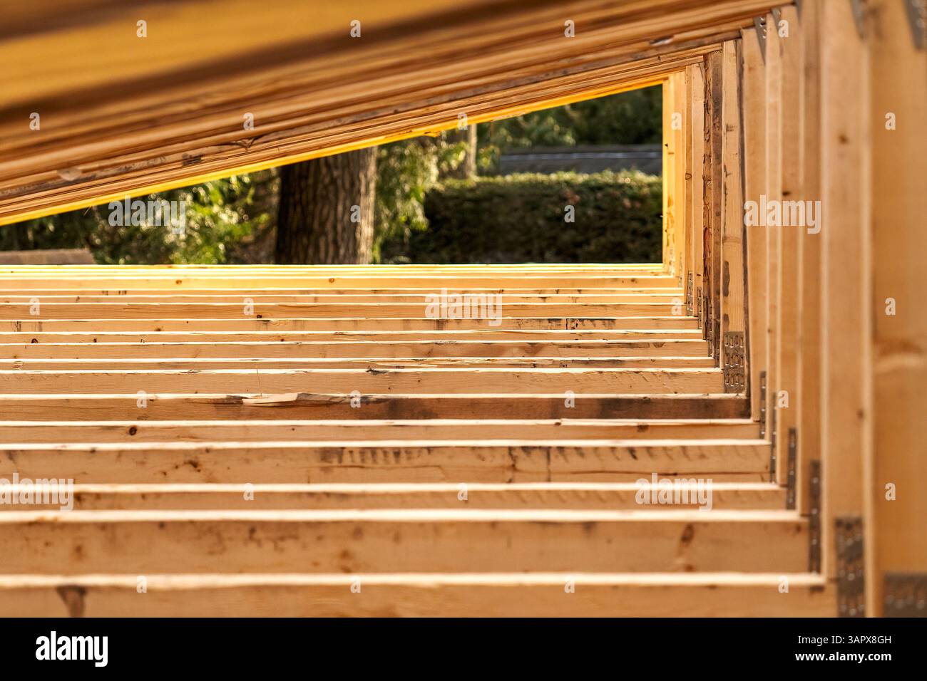 Roofing support trusses arranged as a triangulated system of straight ...