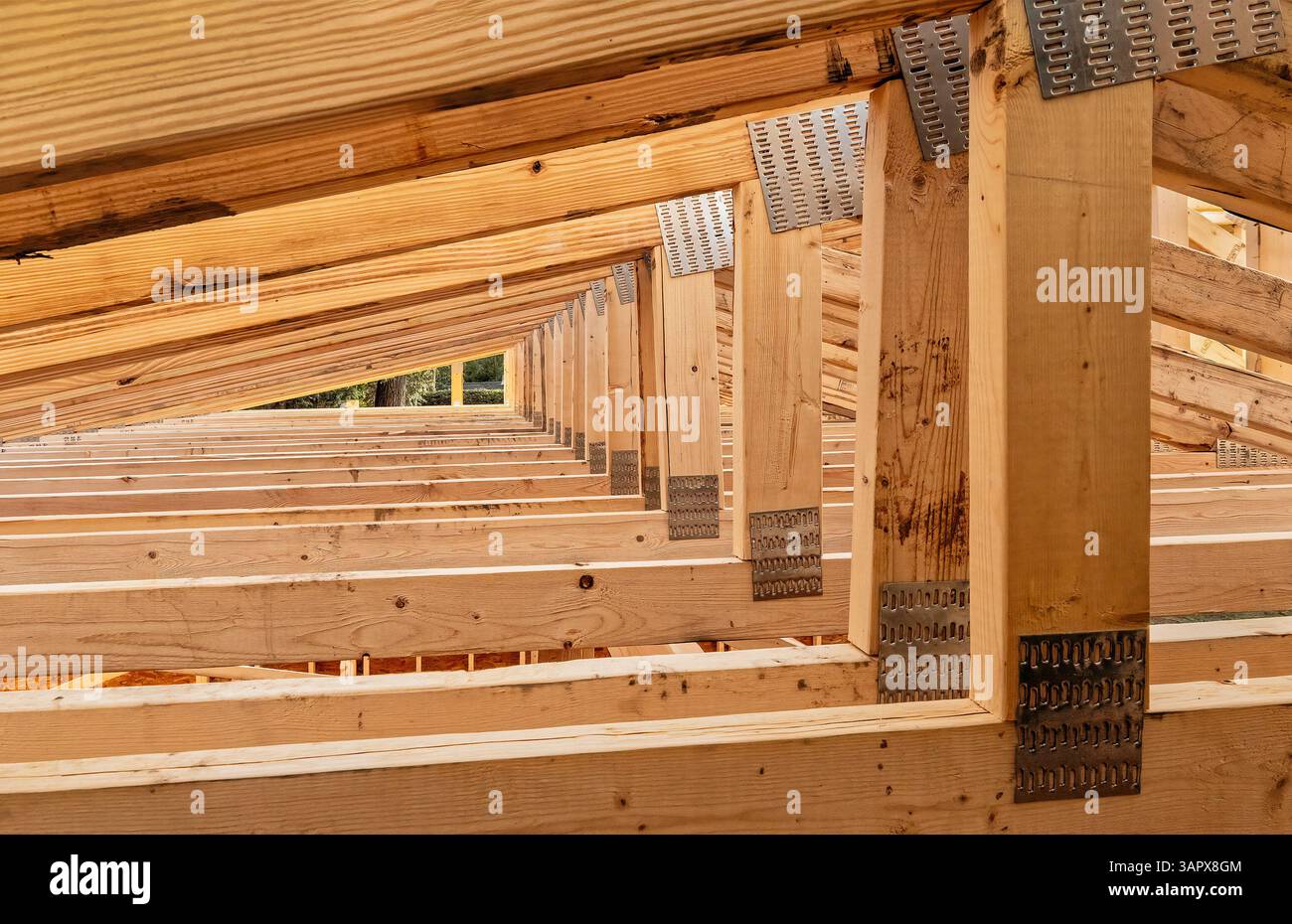 Roofing support trusses arranged as a triangulated system of straight ...