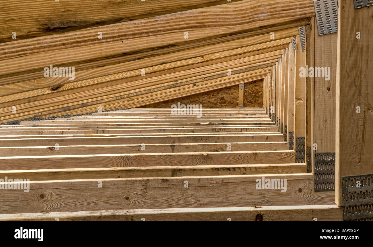 Roofing support trusses arranged as a triangulated system of straight ...