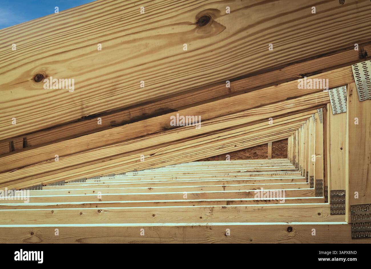 Roofing support trusses arranged as a triangulated system of straight ...