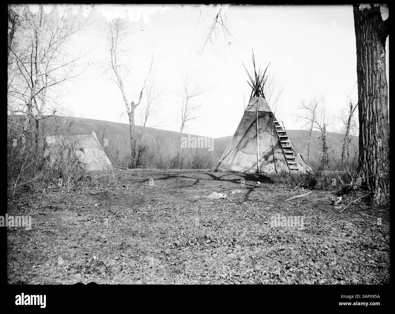 A tipi with a ladder leaning on its side, photographed by Lee Moorhouse ...