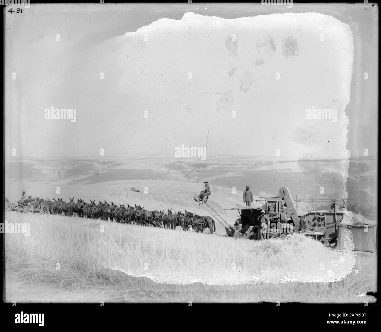 The lee fields Black and White Stock Photos & Images - Alamy