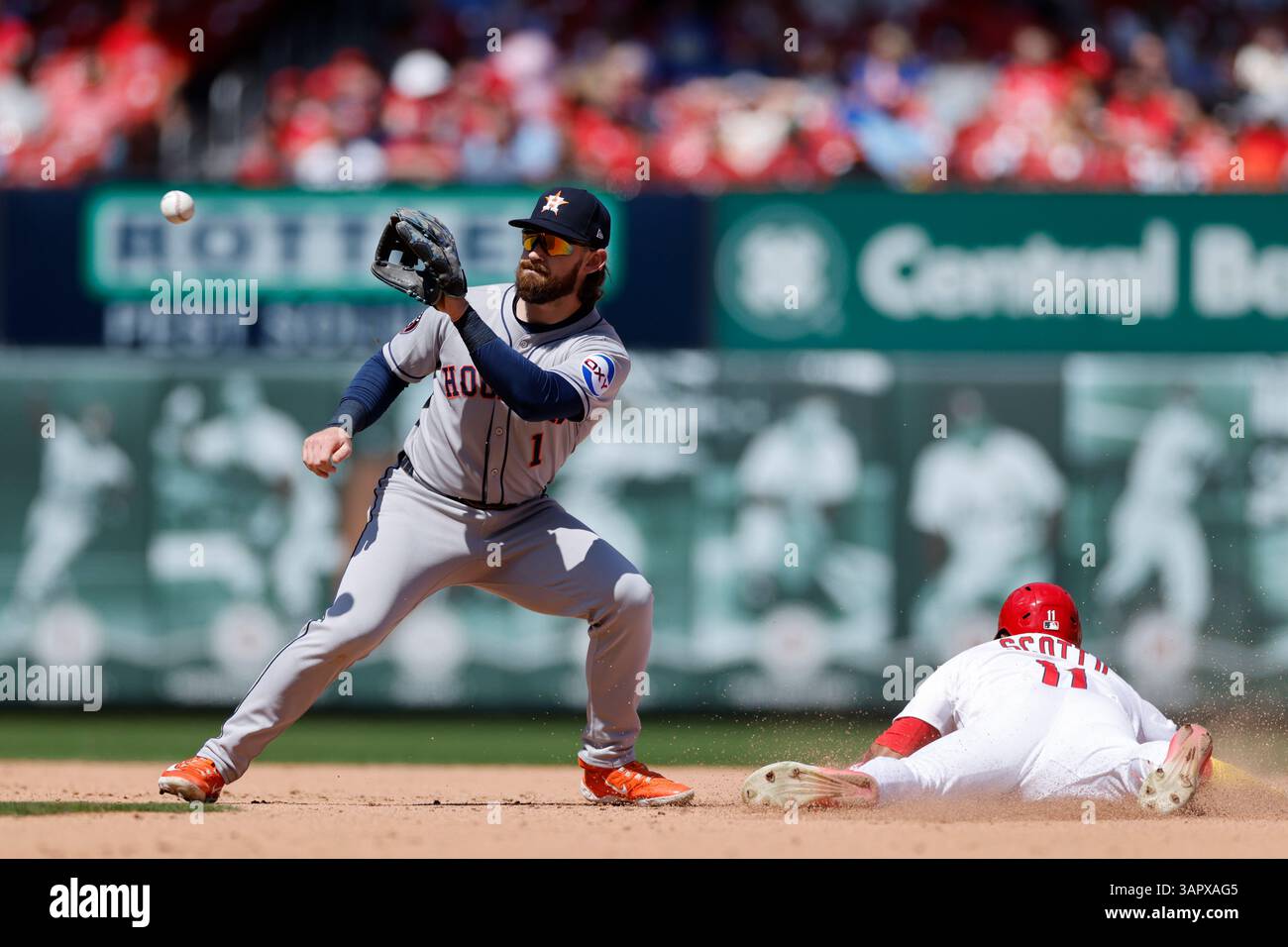 ST. LOUIS, MO - APRIL 16: St. Louis Cardinals outfielder Victor Scott ...