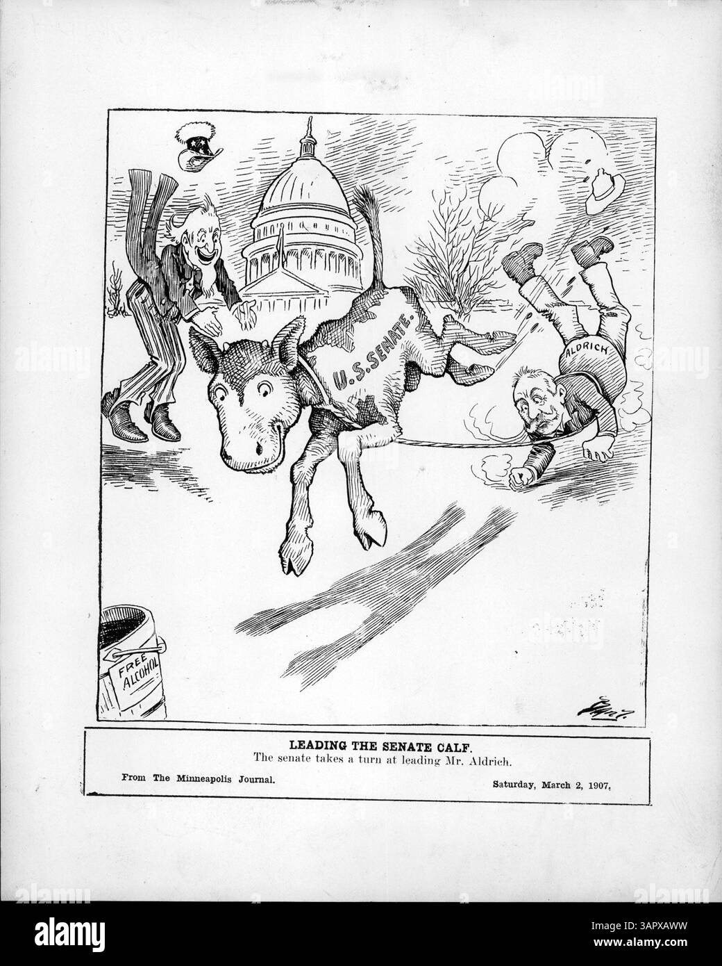 The political cartoon 'Leading the Senate Calf' depicts Uncle Sam ...