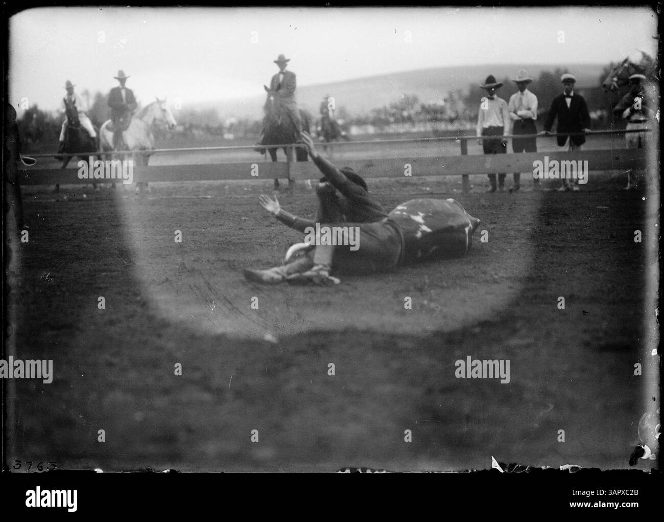 This photograph shows a bulldogging event, an early 20th-century rodeo ...