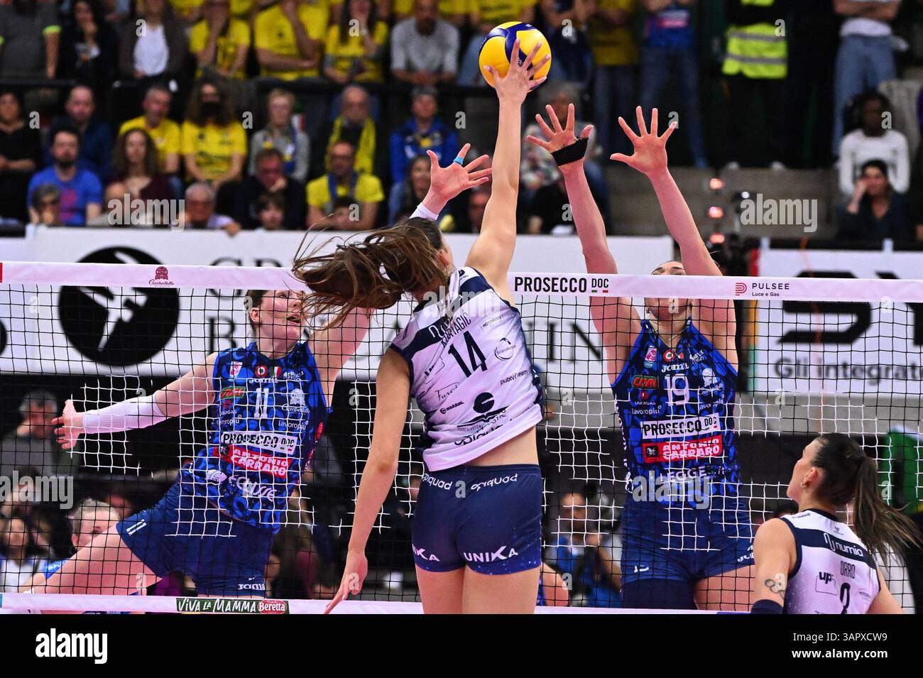 Treviso, Italy. 16th Apr, 2025. Hena Kurtagic ( Numia Vero Volley ...
