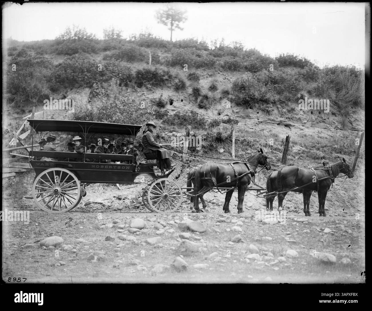 This photograph shows the Ward and Robertson stagecoach pulled by four ...