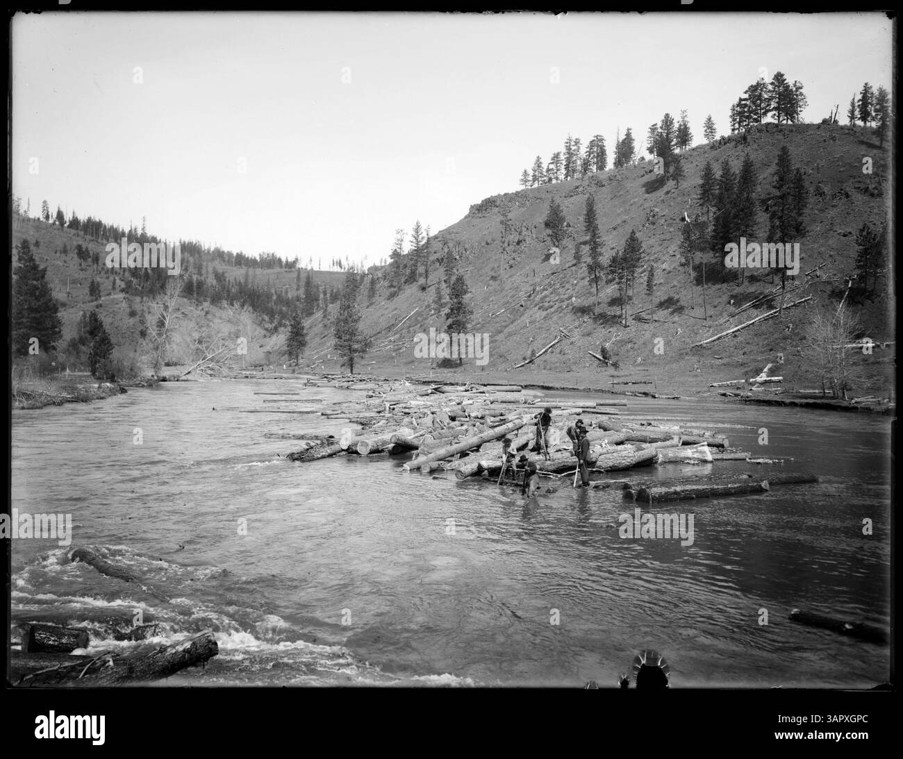 This photograph shows horse teams, men, and boats snaking logs off ...