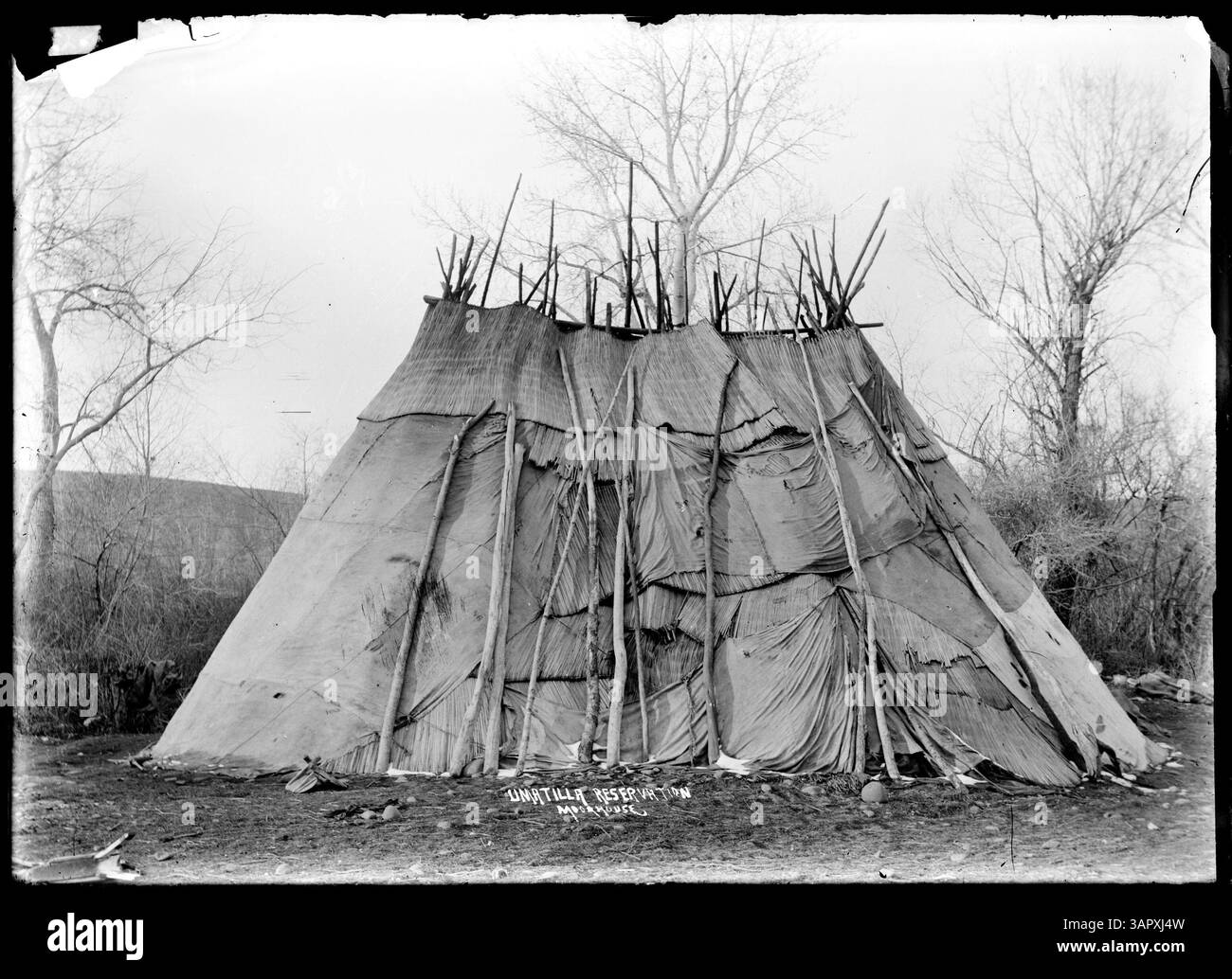 This Lee Moorhouse photograph shows a tipi on the Umatilla Reservation ...