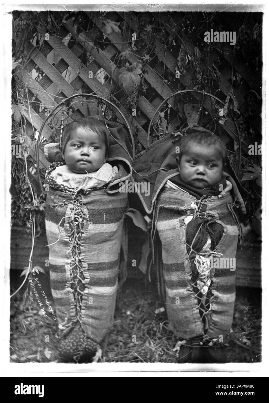 This photograph shows the Cayuse Twins in cradles, captured as a ...