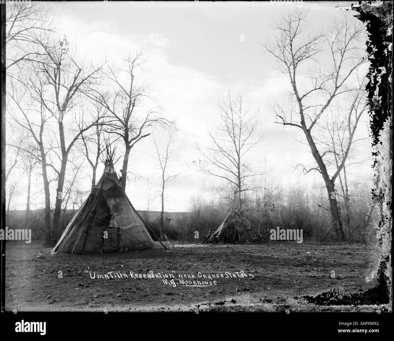Photograph of camps on the Umatilla Indian Reservation near Cayuse ...