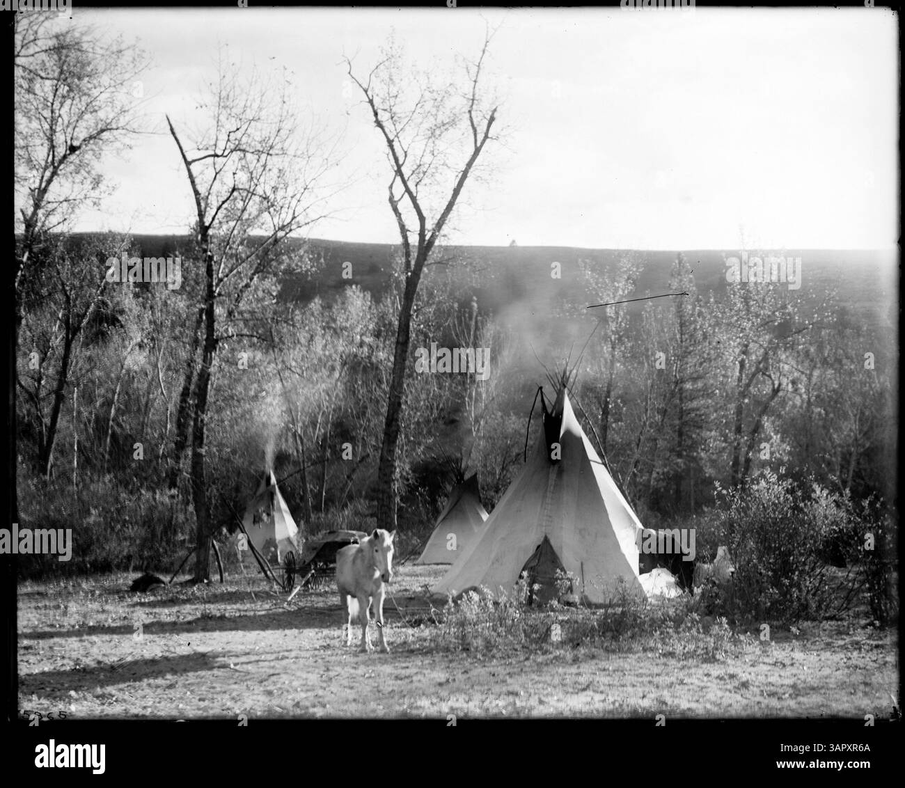 This photograph shows camps on the Umatilla Indian reservation ...