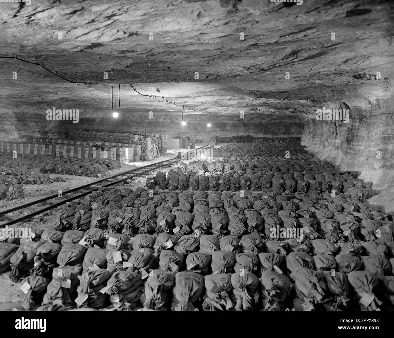 ReichsBank wealth, SS loot, and Berlin Museum paintings, removed from ...