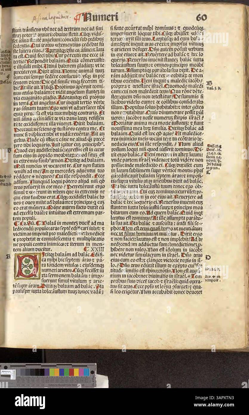 This Latin edition of the Bible features both the Old and New ...