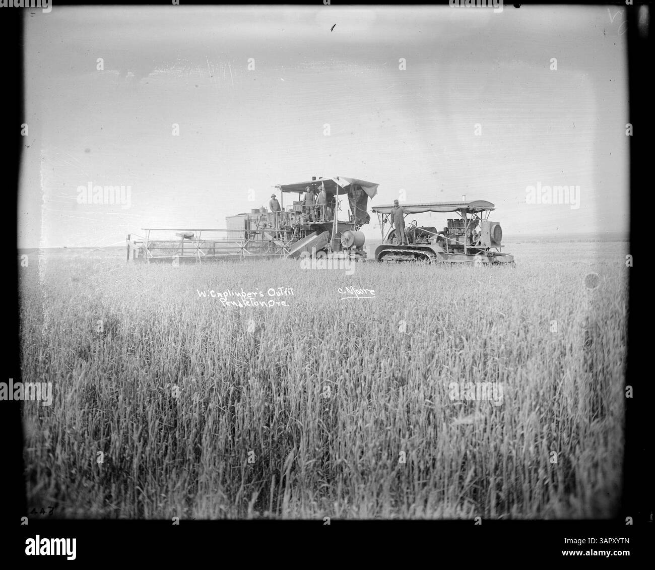 Photograph of W. Caplinger's oil tractor-driven combine, showcasing ...