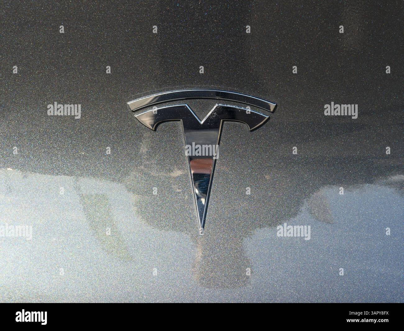 Tesla Emblem Displayed on Gray Electric Vehicle Stock Photo - Alamy